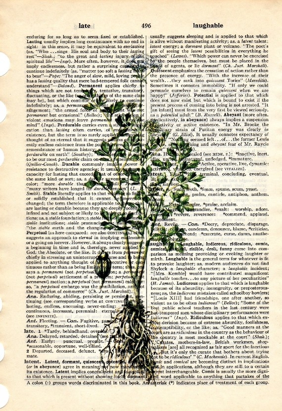 Dictionary Book Page Art Print Celery Herb on Luulla
